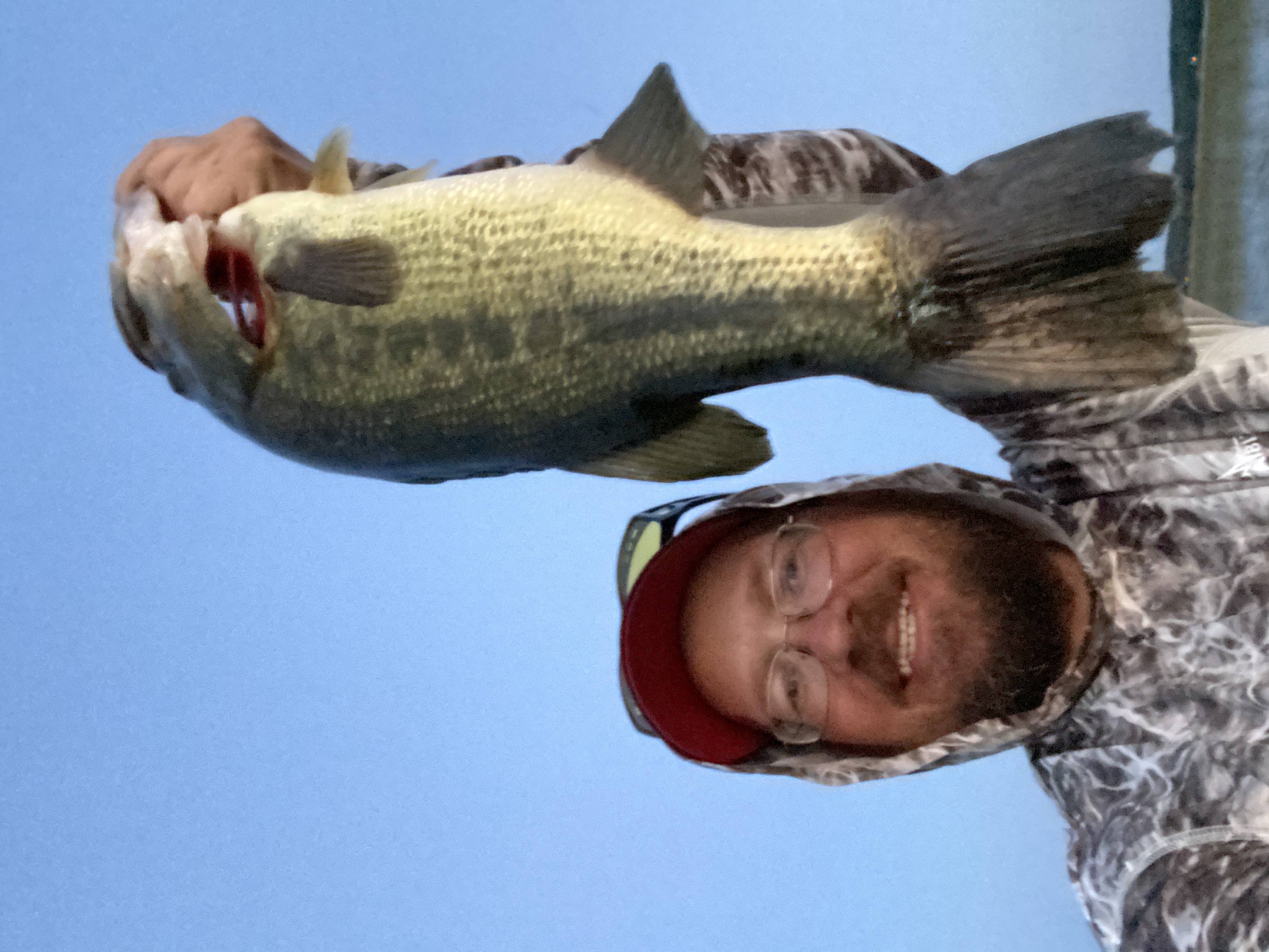 Sullivan Lake Fishing Report for Largemouth Bass(Aug 2, 2022) | Omnia ...