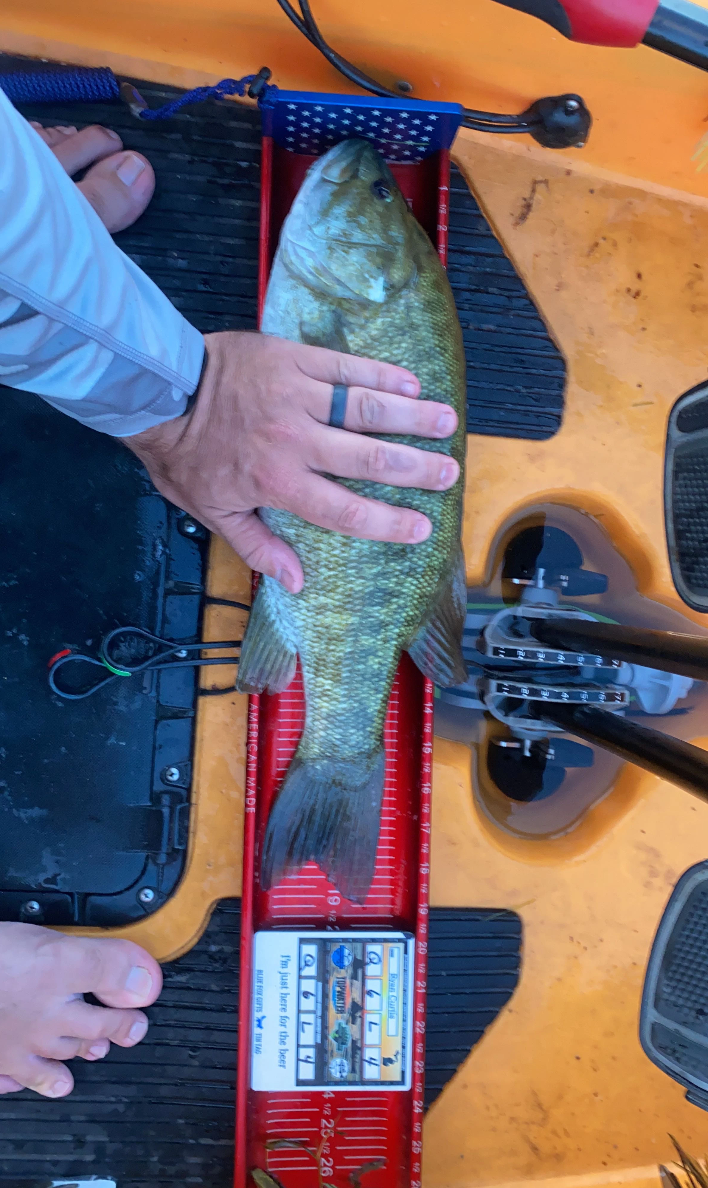 Cass Lake (4) Fishing Report for Smallmouth Bass(Aug 24, 2022) | Omnia ...