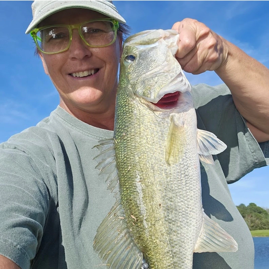 Lake Joyce Fishing Report for Largemouth Bass(Feb 24, 2023) | Omnia Fishing