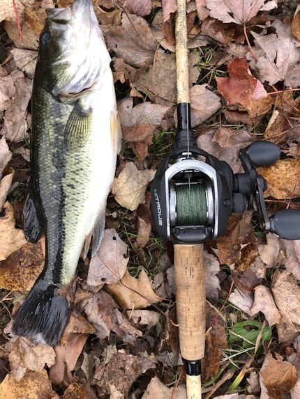 Pachaug Pond Fishing Report for Largemouth Bass(Feb 3, 2021) | Omnia ...