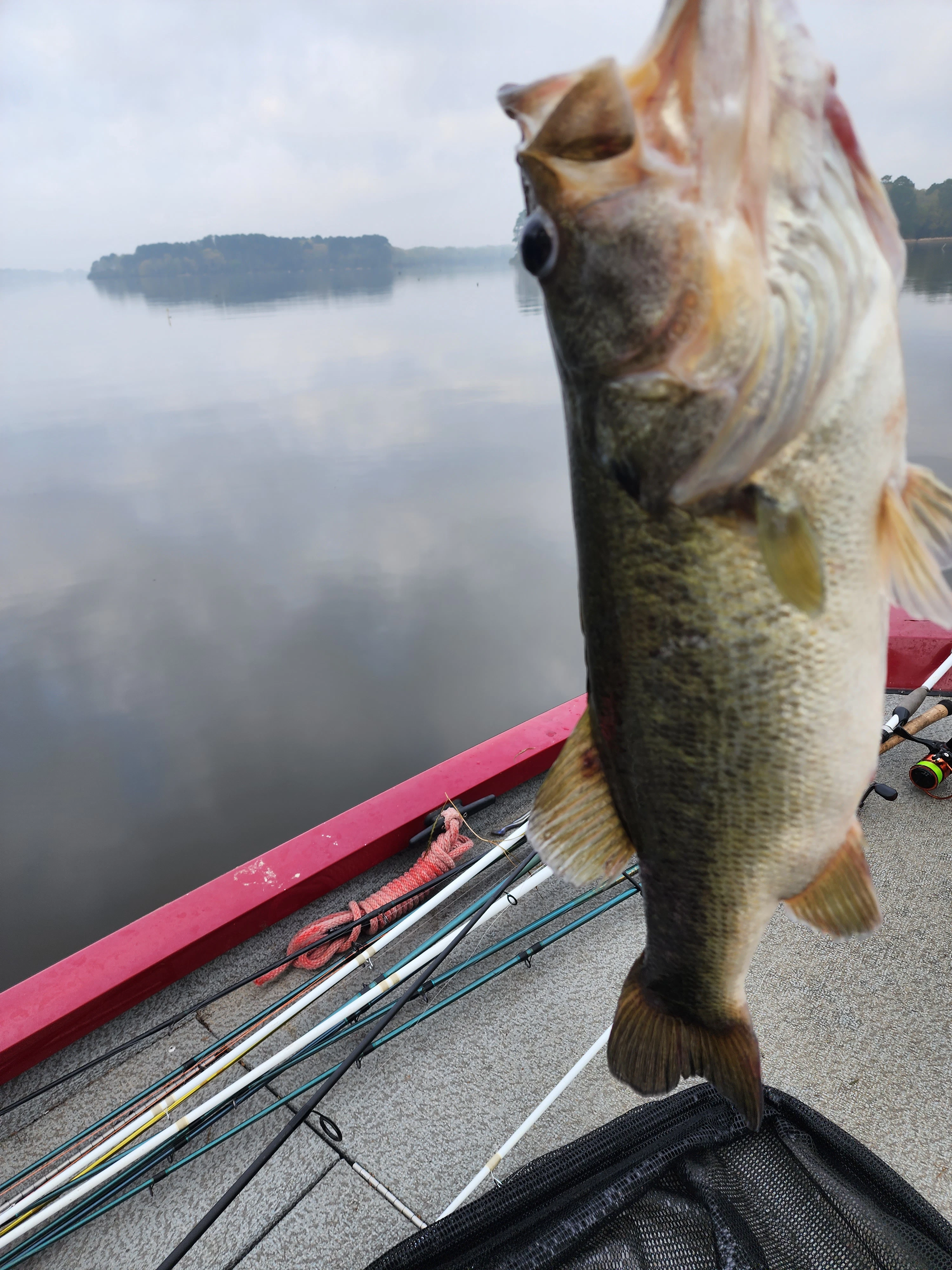 Houston County Lake Fishing Report for Largemouth Bass(Mar 11, 2023 ...