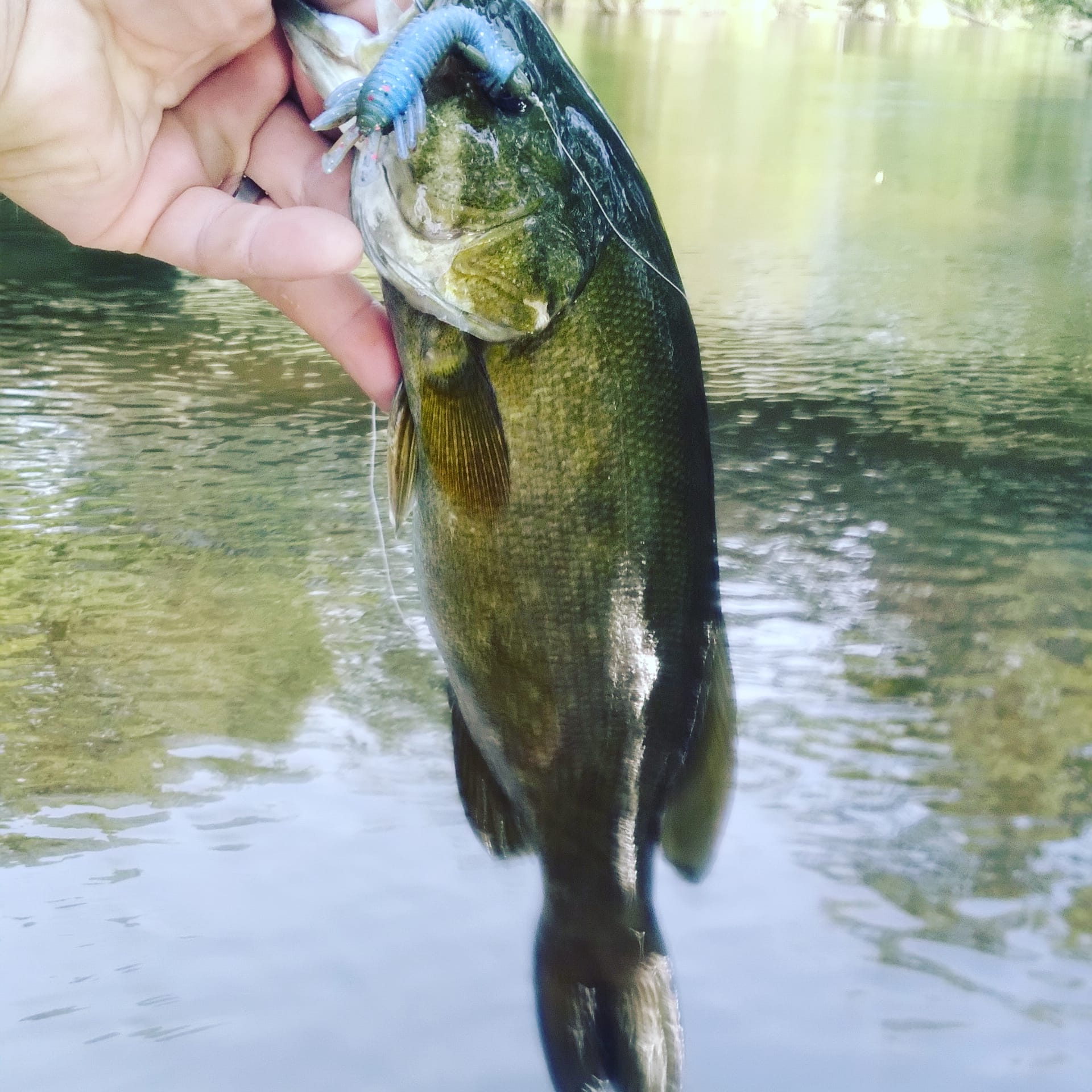 Lake Maxinkuckee Fishing Report for Smallmouth Bass(Dec 10, 2021 ...