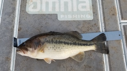 Normandy Lake Fishing Report for Largemouth Bass(Dec 15, 2021) | Omnia ...