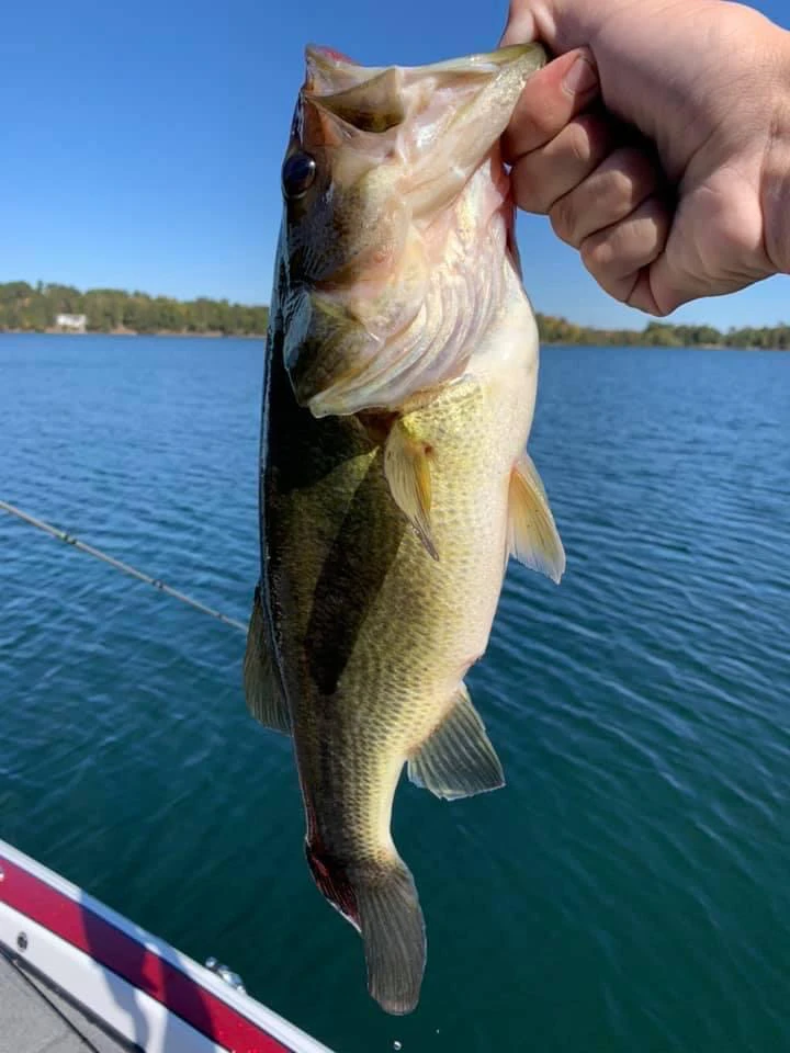 Chicagon Lake Fishing Report for Largemouth Bass(Feb 9, 2022) | Omnia ...