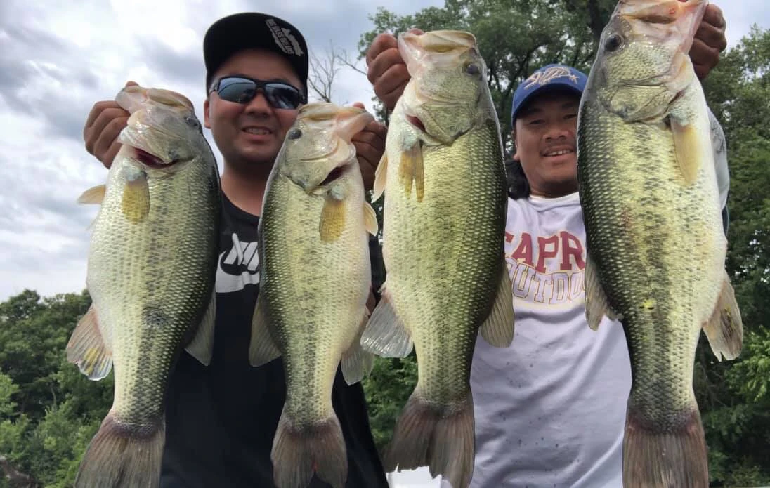 Wirth Lake Fishing Report for Largemouth Bass(Mar 27, 2022) | Omnia Fishing