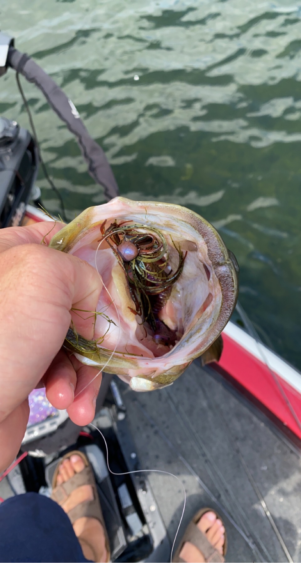 Lake Riley Fishing Report for Largemouth Bass(Apr 1, 2022) | Omnia Fishing