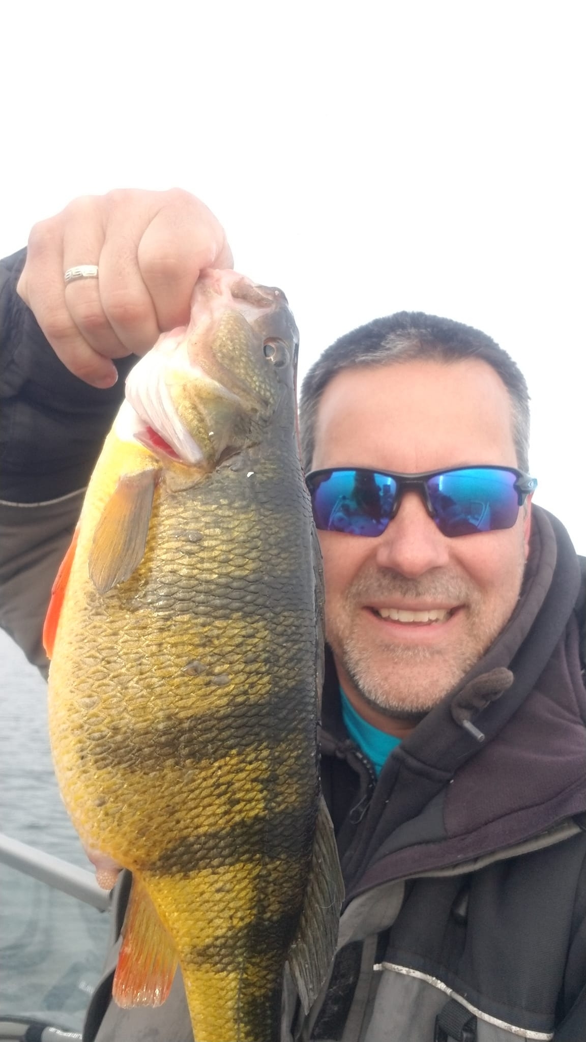 Seneca Lake (NY) Fishing Report for Yellow Perch(Apr 5, 2022) | Omnia ...