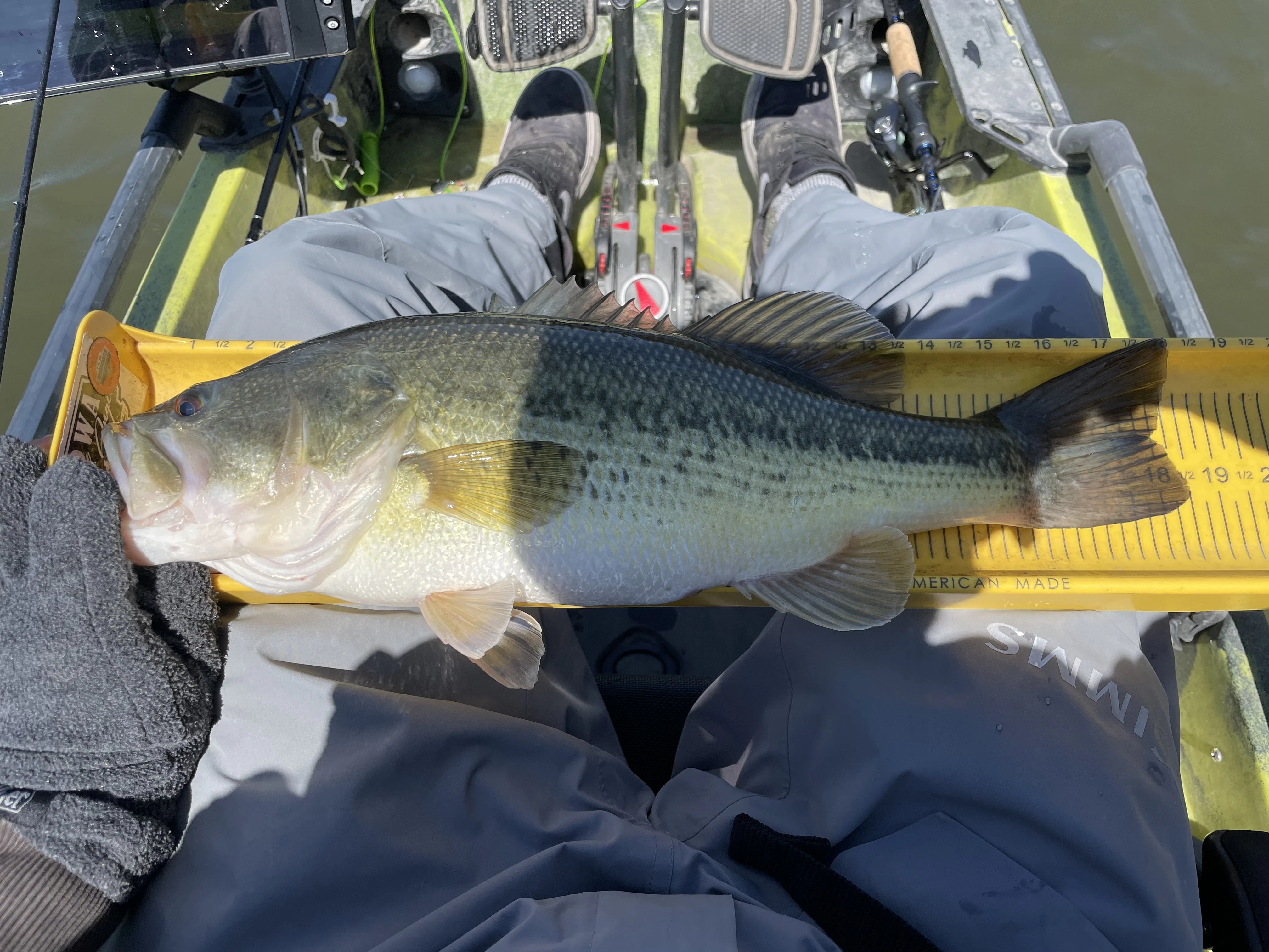 Lake Morris Fishing Report for Largemouth Bass(Apr 19, 2022) | Omnia ...