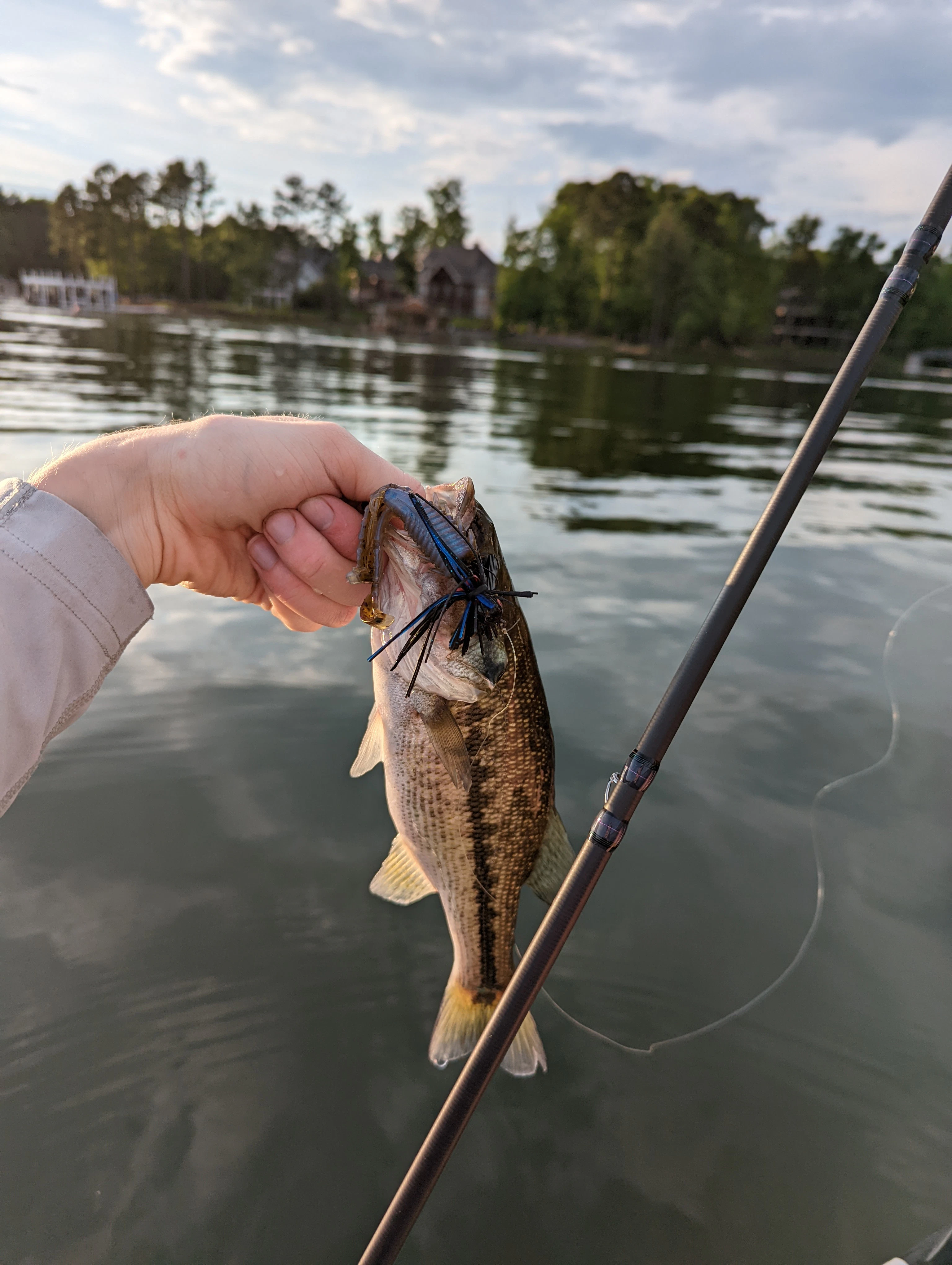 Lake Gaston Fishing Report for Spotted Bass(May 18, 2022) | Omnia Fishing