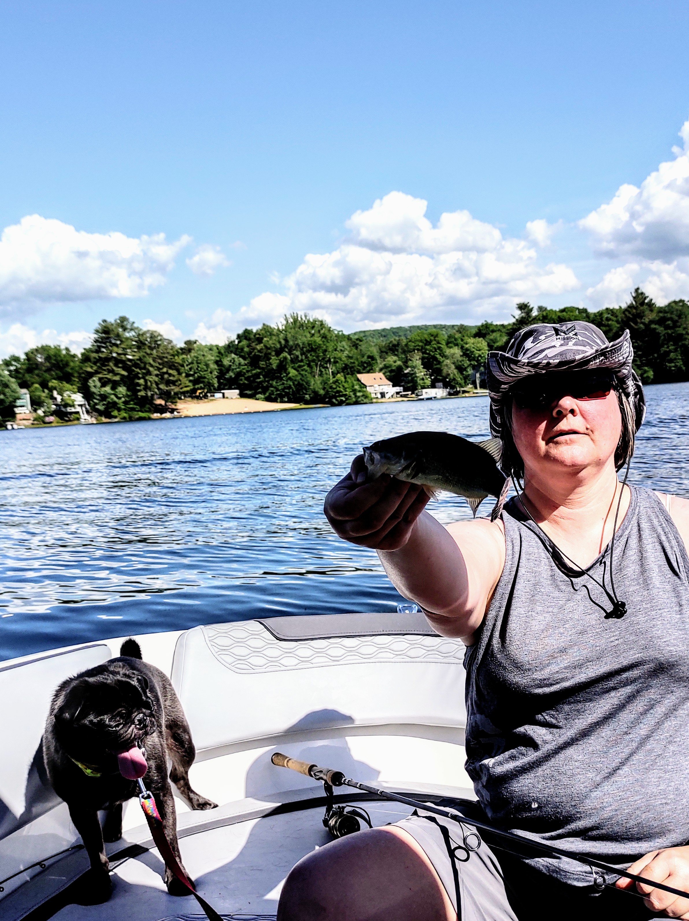 Pequot Pond Fishing Report for Largemouth Bass(Jun 4, 2022) | Omnia Fishing