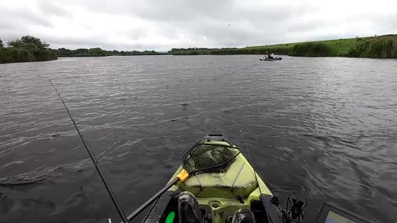 Banner Marsh Fishing Report for Largemouth Bass(Aug 3, 2021) | Omnia ...