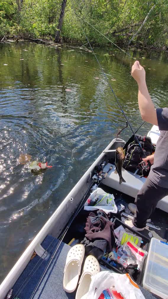 Gerber Lake Fishing Report for Largemouth Bass(May 28, 2022) | Omnia ...